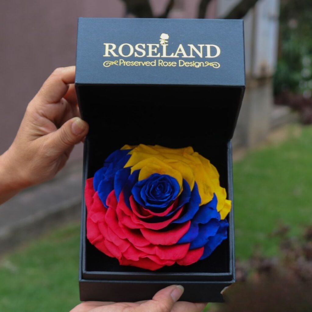 Banderas hechas con Rosas Preservadas - Roseland